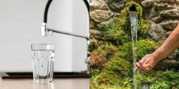 Diferencia entre agua purificada y Spring Water (Agua de Manantial ...
